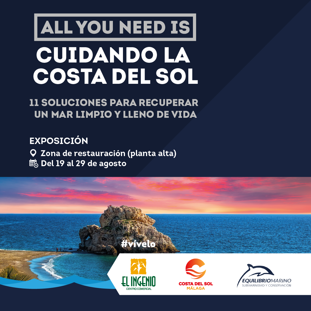 Consejos para contribuir a la conservación del mar - El Ingenio